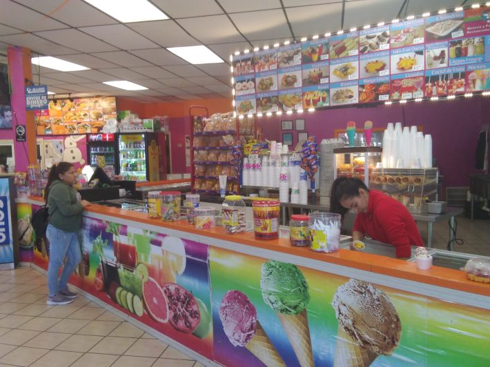 TLO Restaurant Review: Nevería y Paleteria Michi Ice - The Lost Ogle