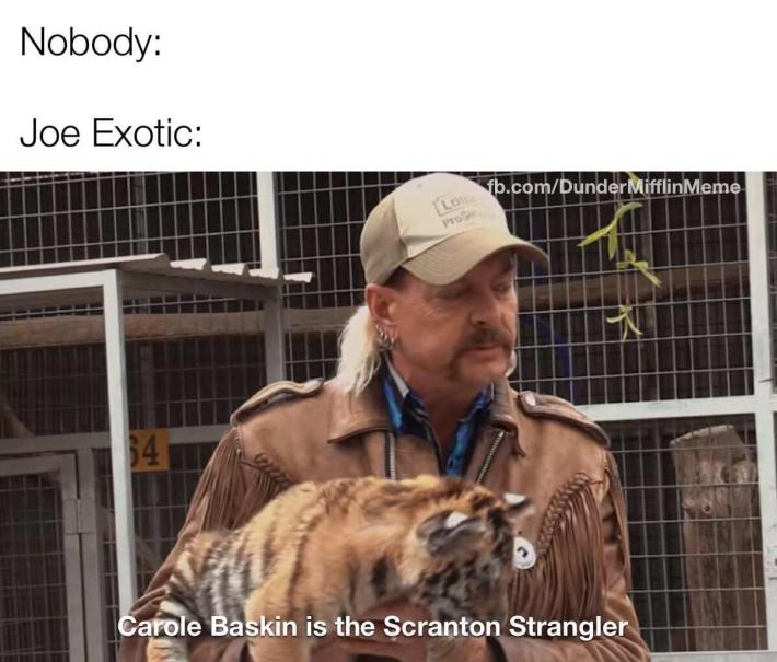 25 best Joe Exotic Tiger King memes - The Lost Ogle