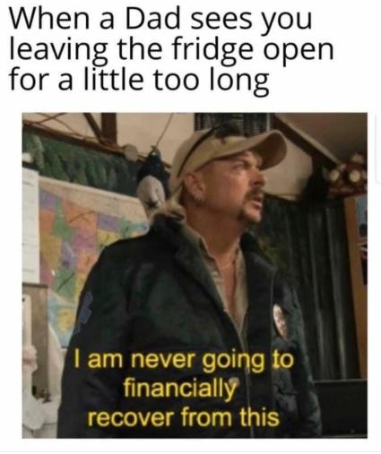 25 best Joe Exotic Tiger King memes - The Lost Ogle