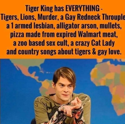 25 best Joe Exotic Tiger King memes - The Lost Ogle