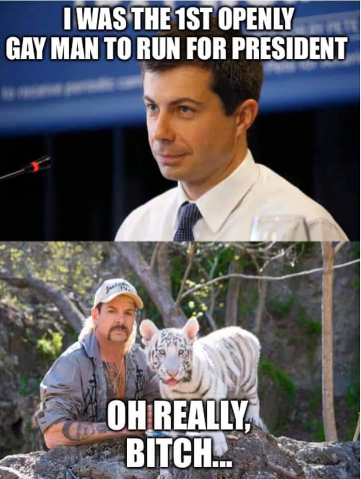 25 best Joe Exotic Tiger King memes - The Lost Ogle