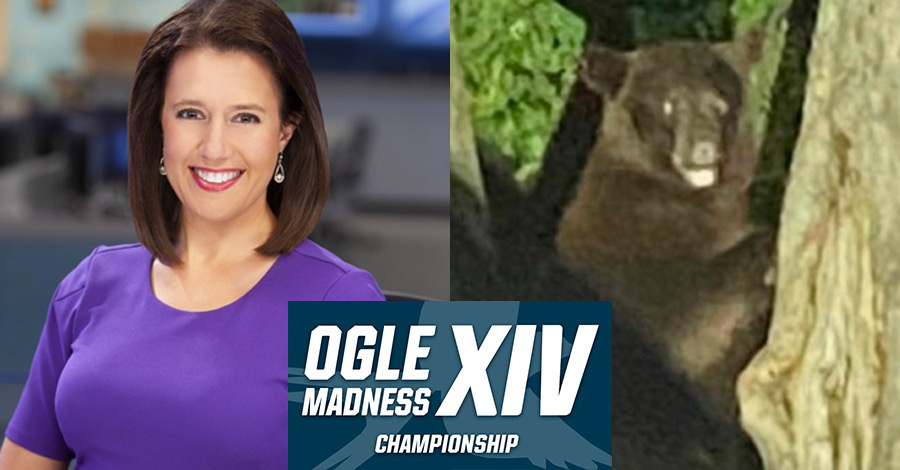 Ogle Madness XIV: Championship Game - The Lost Ogle