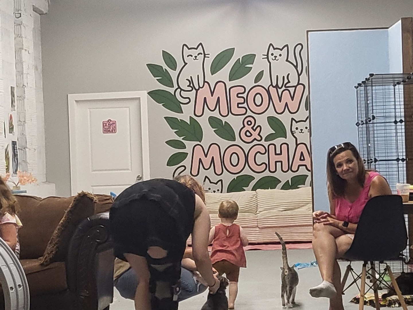 Meow & Mocha: Guthrie’s Very Own Cat Café - The Lost Ogle